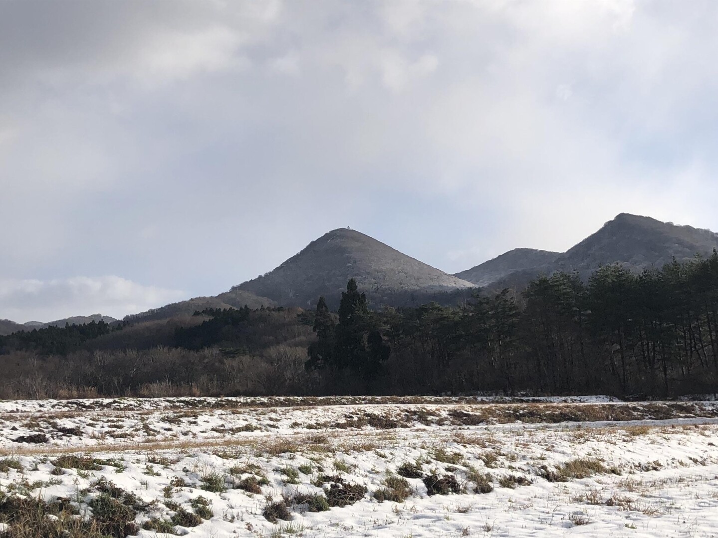 尖岳（開拓者を悩ませた強風）今別町※動画あり / snow@ystさんの袴腰岳（平舘）・丸屋形岳の活動データ | YAMAP / ヤマップ
