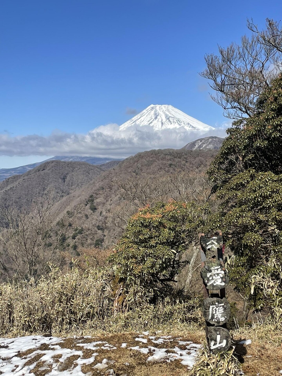 愛鷹山 / minorunさんの愛鷹山・大岳・黒岳の活動データ | YAMAP / ヤマップ