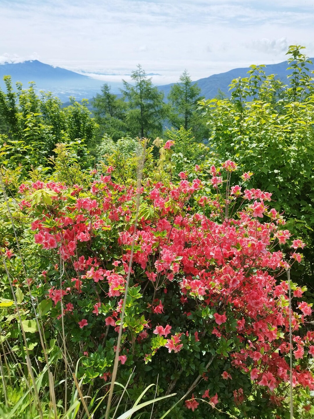 守屋山 / horitakaさんの守屋山の活動データ | YAMAP / ヤマップ
