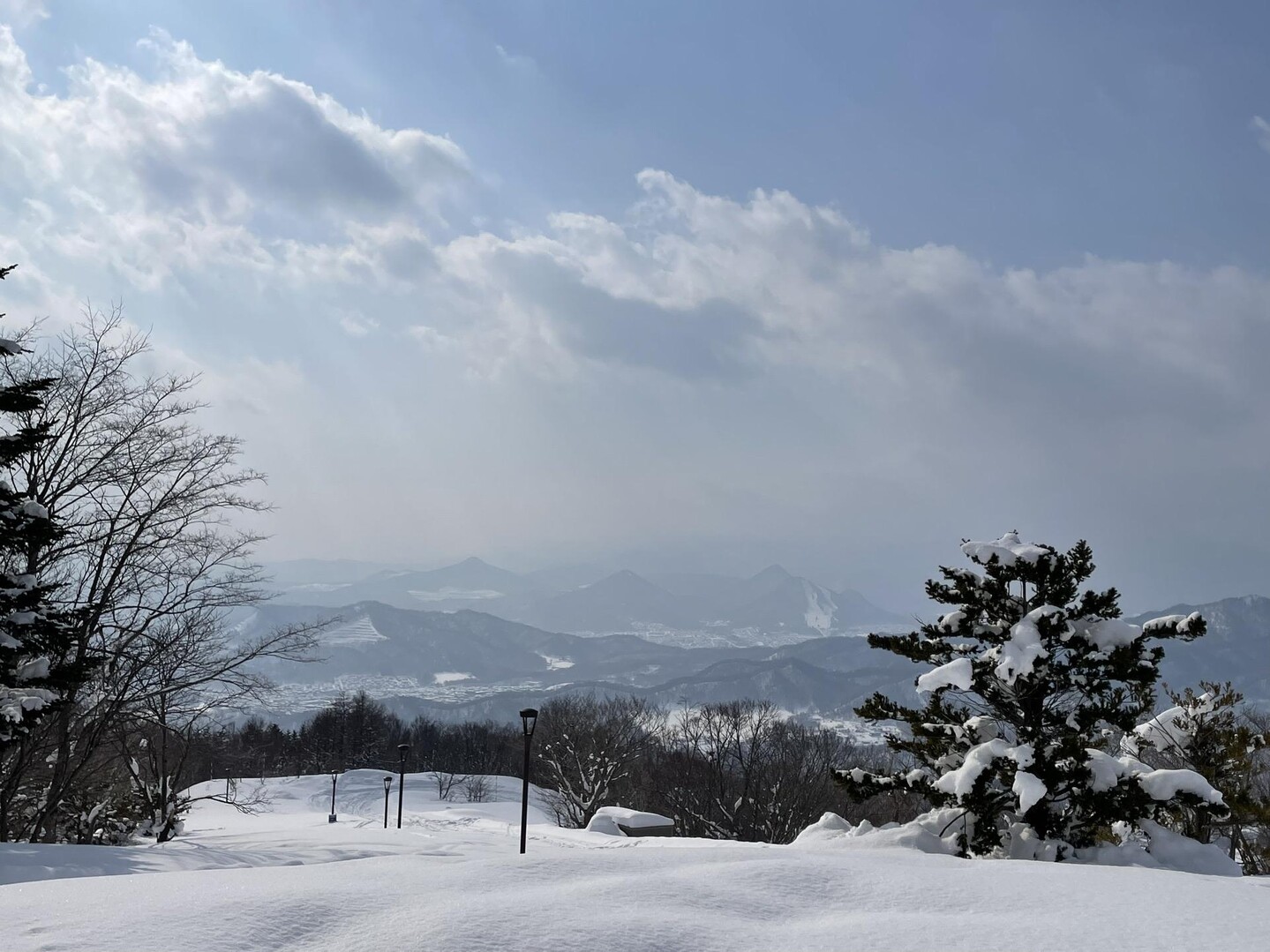 藻岩山 / saeさんの藻岩山の活動データ | YAMAP / ヤマップ