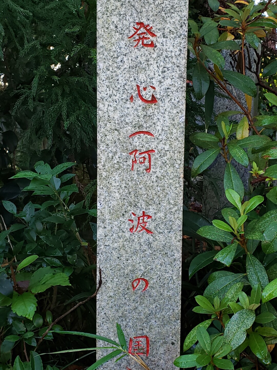 2020.11.21(土) 00:01 / 北京げんじんさんのモーメント | YAMAP / ヤマップ