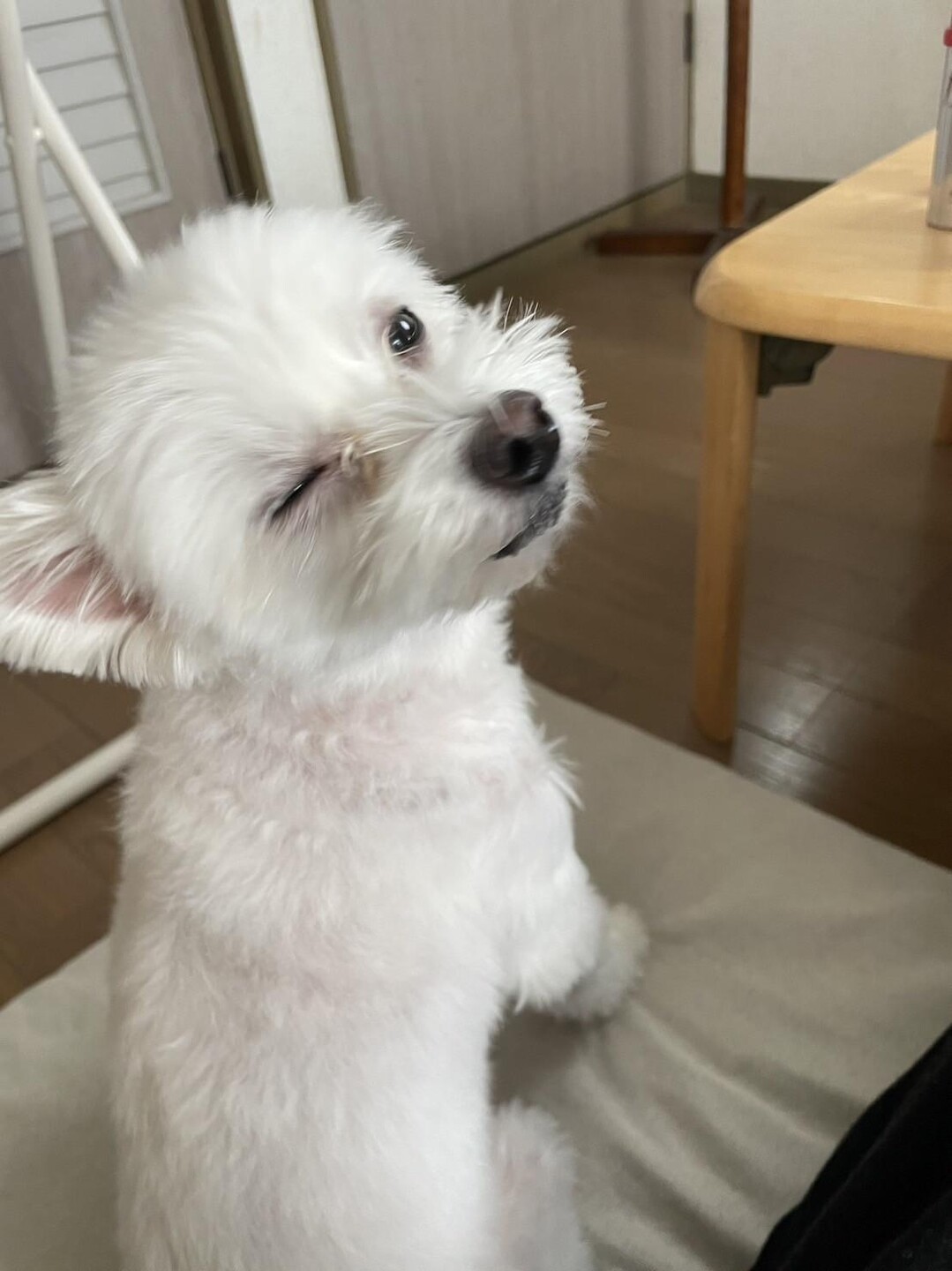 Skyのページ | YAMAP / ヤマップ