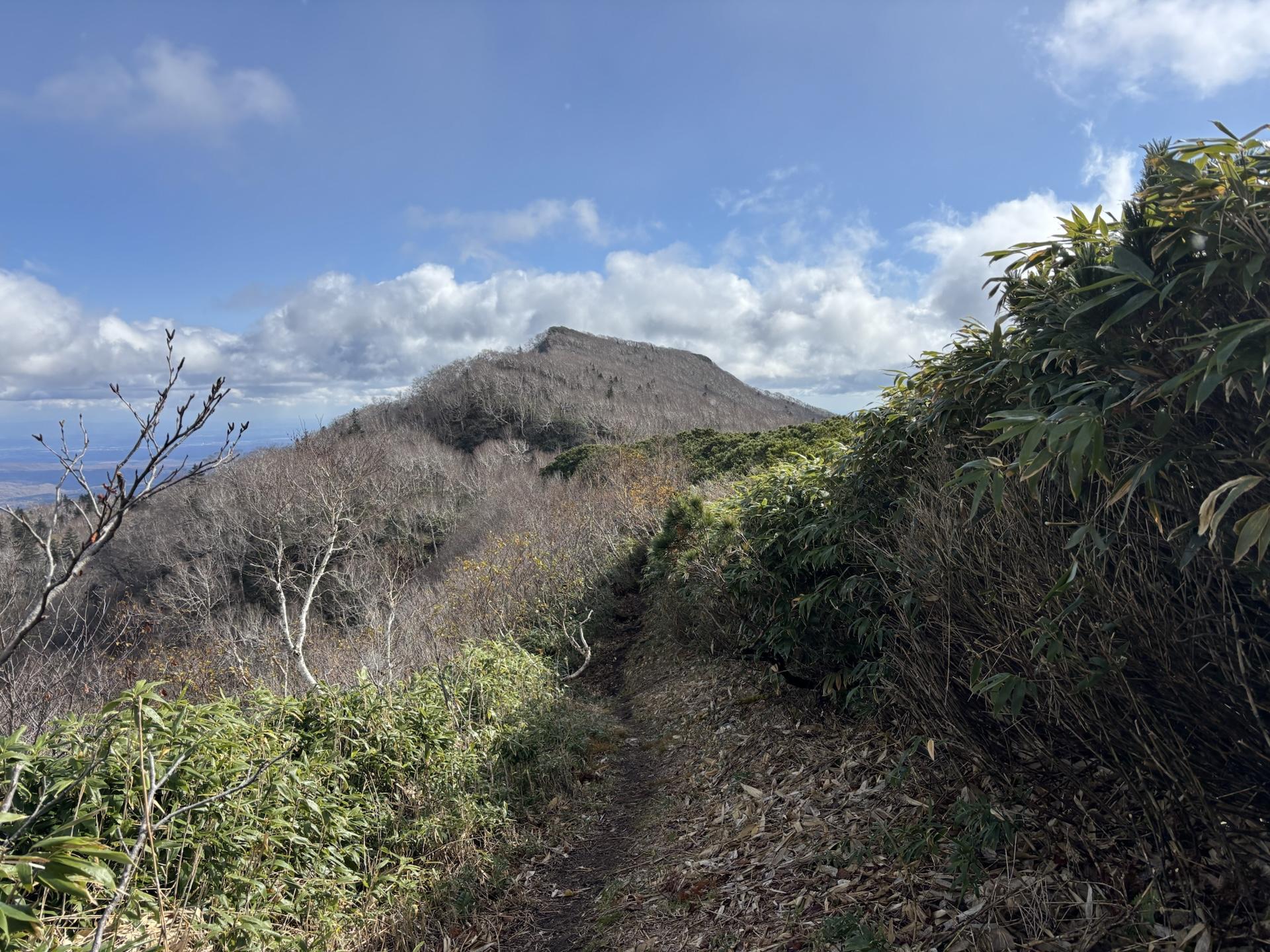二度🉐ピストン😝〜空沼岳→札幌岳縦走路🌦️ / ヒロミ1229さんの札幌岳・空沼岳の活動データ | YAMAP / ヤマップ