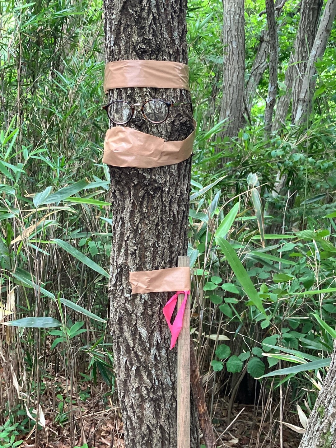 SIRIO 試し履き / きくひろさんの鹿狼山の活動日記 | YAMAP / ヤマップ