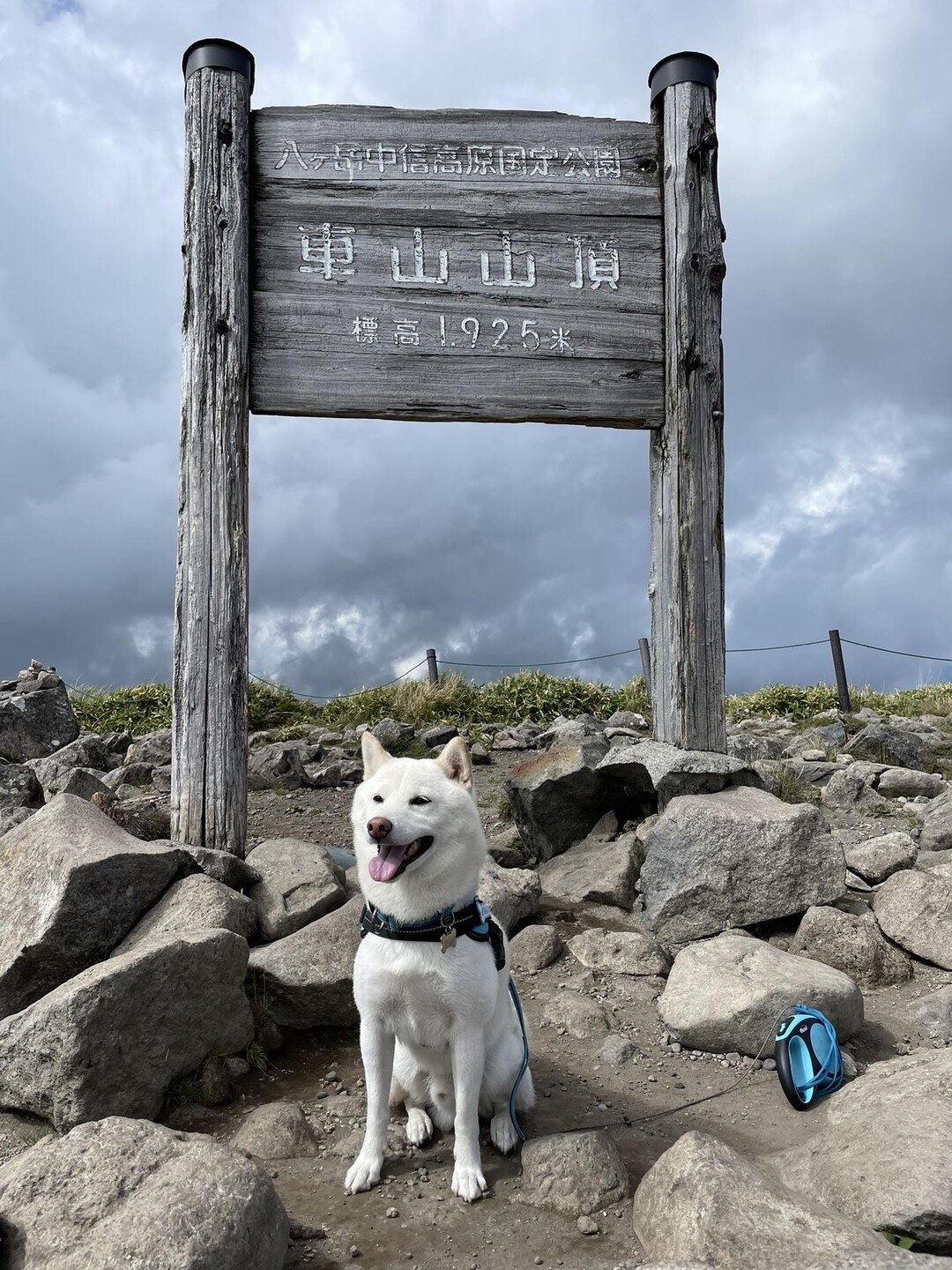 霧ヶ峰（車山） / HAKU&NAOさんの霧ヶ峰・車山・大笹峰の活動データ | YAMAP / ヤマップ