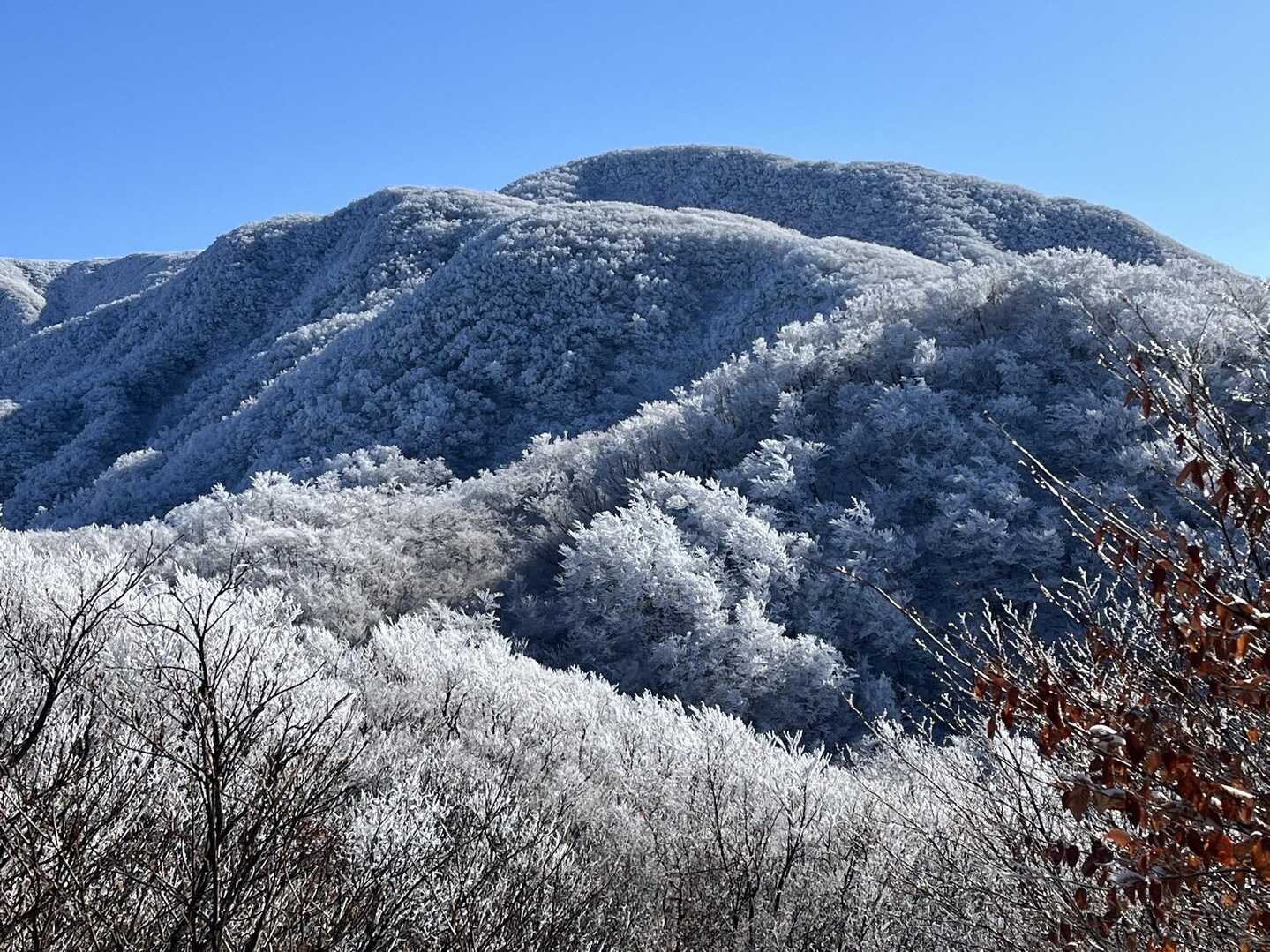 ふわふわ新雪二王子岳⛄️ / wacaさんの二王子岳の活動データ | YAMAP / ヤマップ