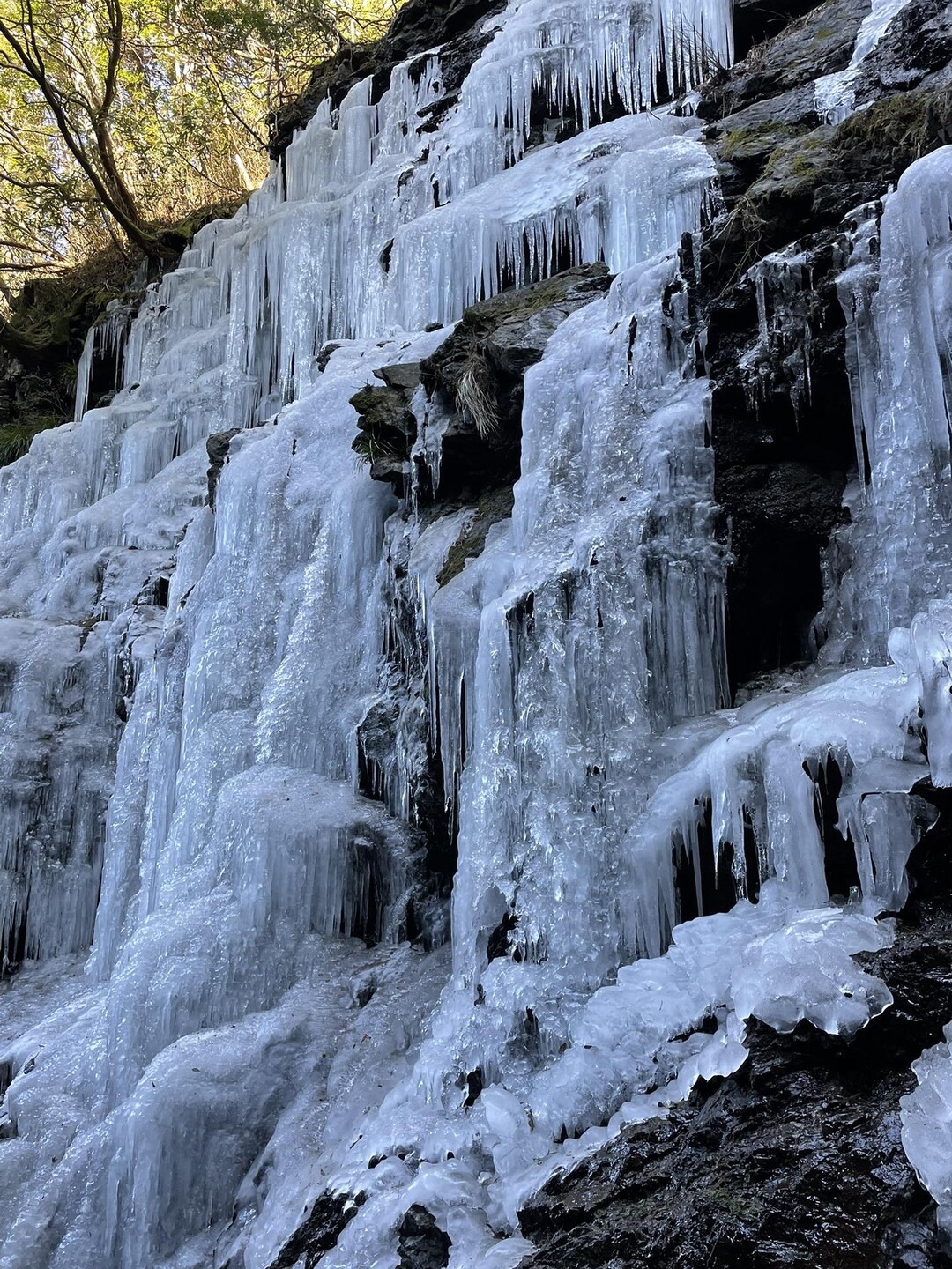 2023.02.04 氷瀑 / tmkさんの真富士山の活動データ | YAMAP / ヤマップ