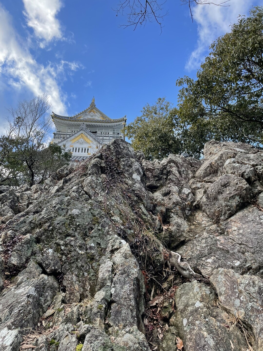 金華山 馬の背〜百曲がり〜めいそうの小径〜百曲がり / Bobさんの金華山・洞山・舟伏山の活動データ | YAMAP / ヤマップ