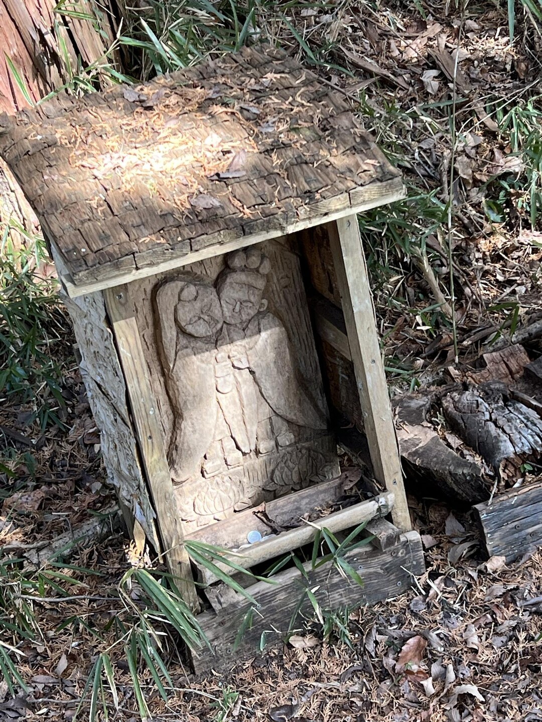 浅間山・閑居山を巡る里山山歩-2025-2-13 / blueさんの雪入山・青木葉山・閑居山の活動データ | YAMAP / ヤマップ