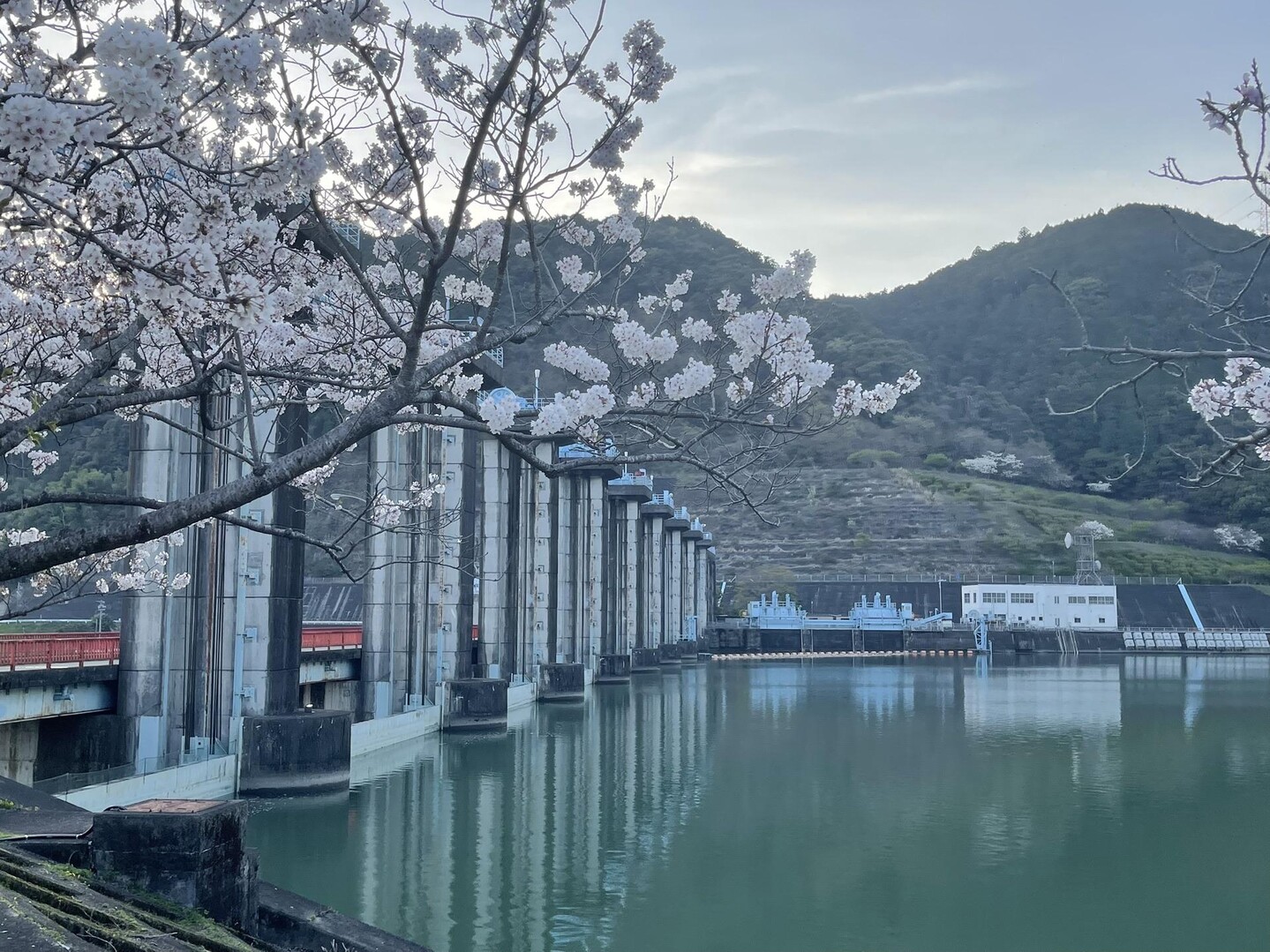 船明ダム 】 4月1日(土) 浜松市... / YASさんのモーメント | YAMAP / ヤマップ