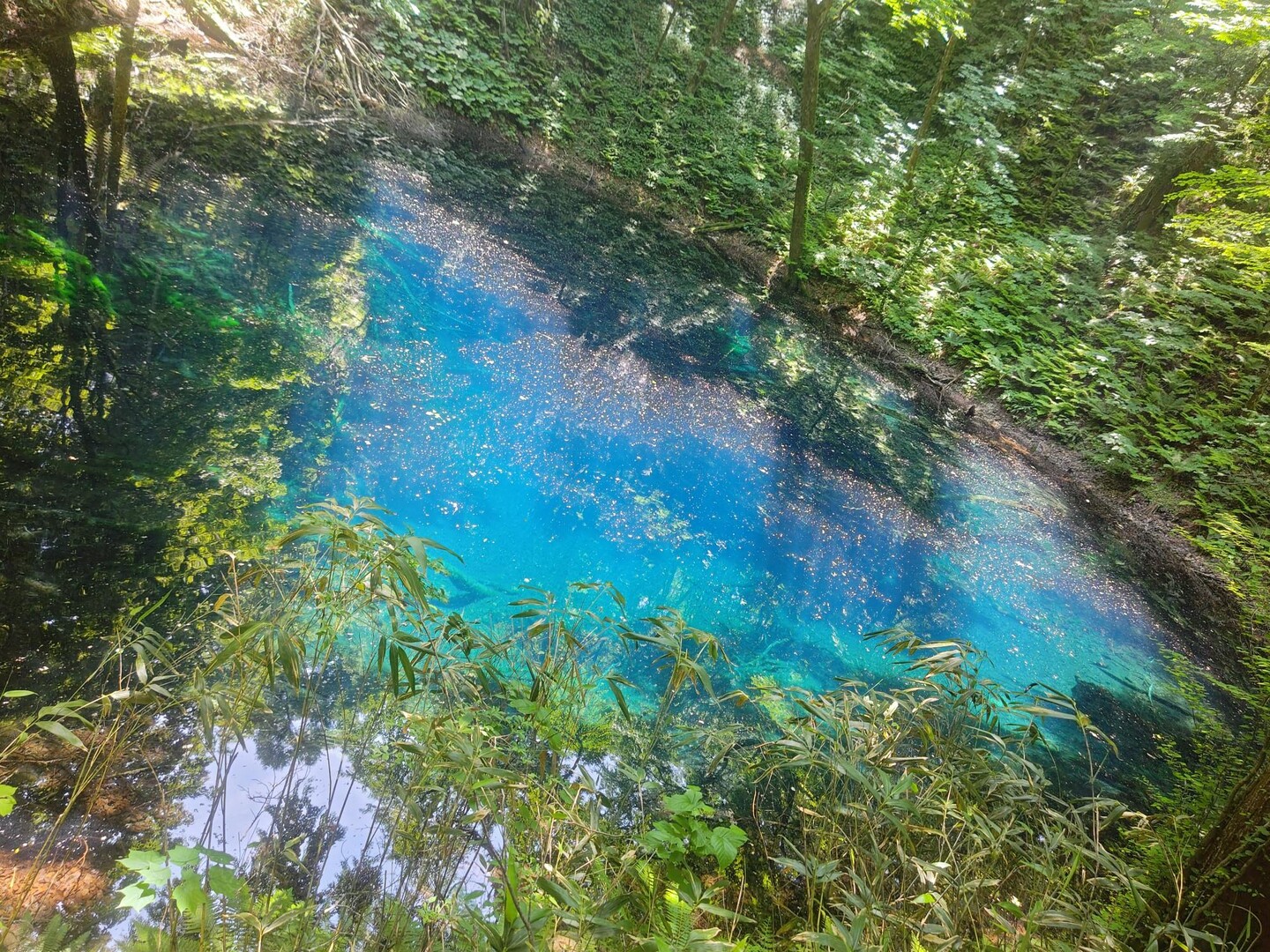 蟶山・白神岳・大峰岳・崩山 / Catさんの白神岳・蟶山・大峰岳の活動データ | YAMAP / ヤマップ