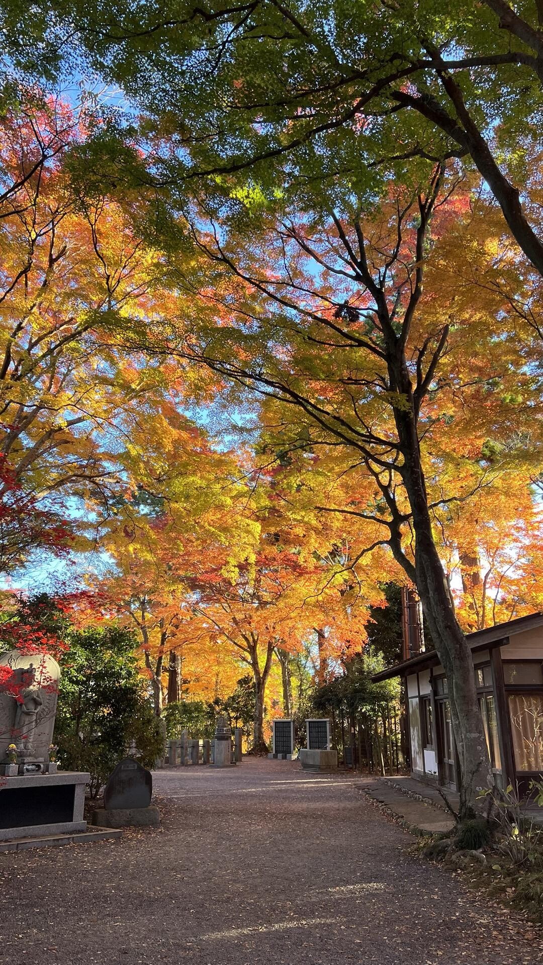 高尾山・紅葉🍁 / hanさんの高尾山・陣馬山・景信山の活動データ | YAMAP / ヤマップ