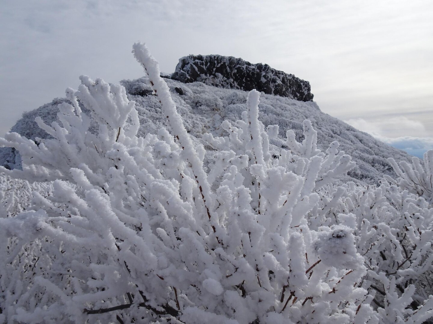 ️雪の阿蘇山を仙酔尾根で登る🥾 / masapi-さんの阿蘇山・高岳・根子岳の活動データ | YAMAP / ヤマップ