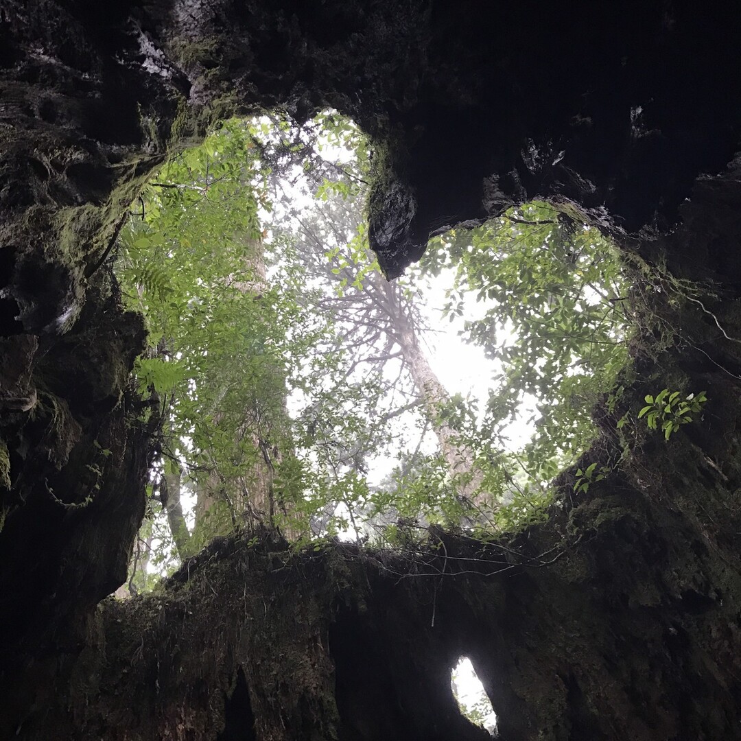 keikoのページ | YAMAP / ヤマップ