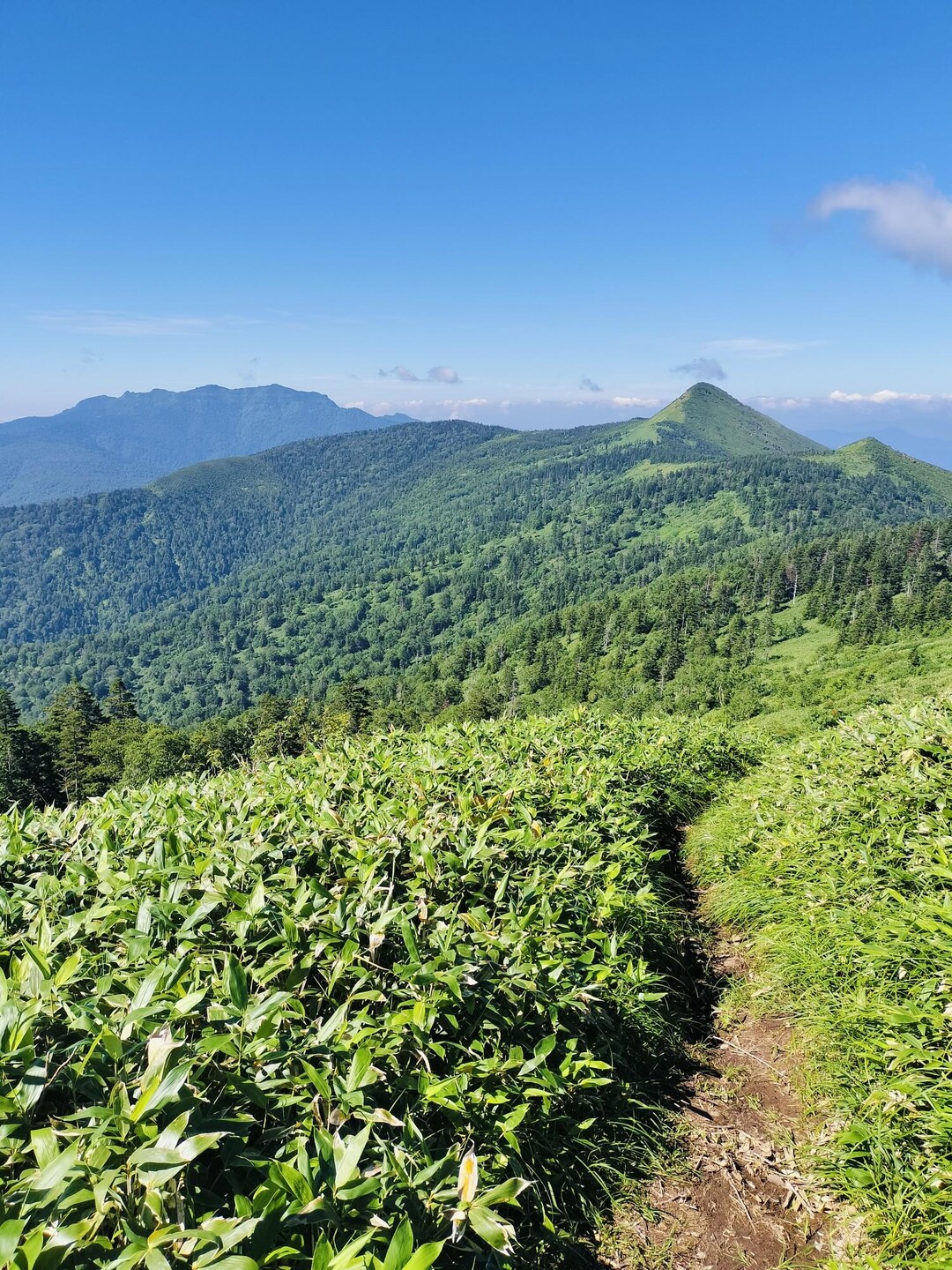 ぐんま百名山 笠ヶ岳 / kooさんの尾瀬・燧ヶ岳の活動日記 | YAMAP / ヤマップ