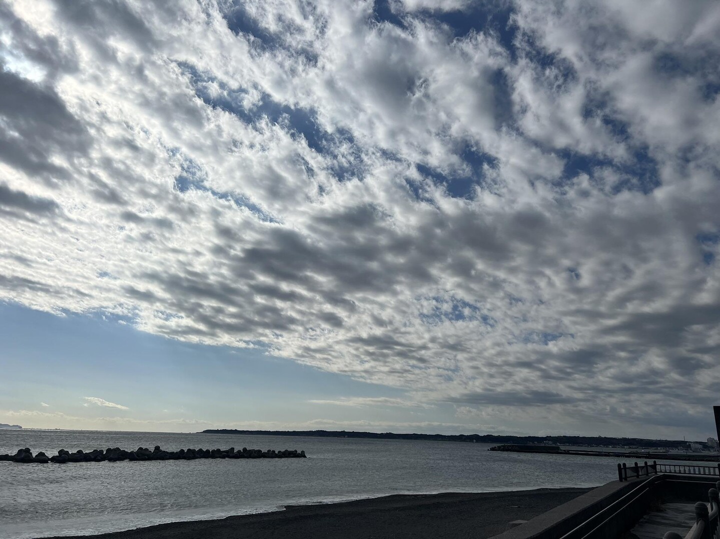 城ヶ島で舌鼓 / Tagmsさんのモーメント | YAMAP / ヤマップ