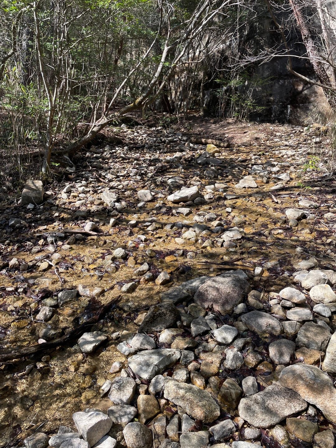 hiroさんの投稿したフィールドメモ | YAMAP / ヤマップ