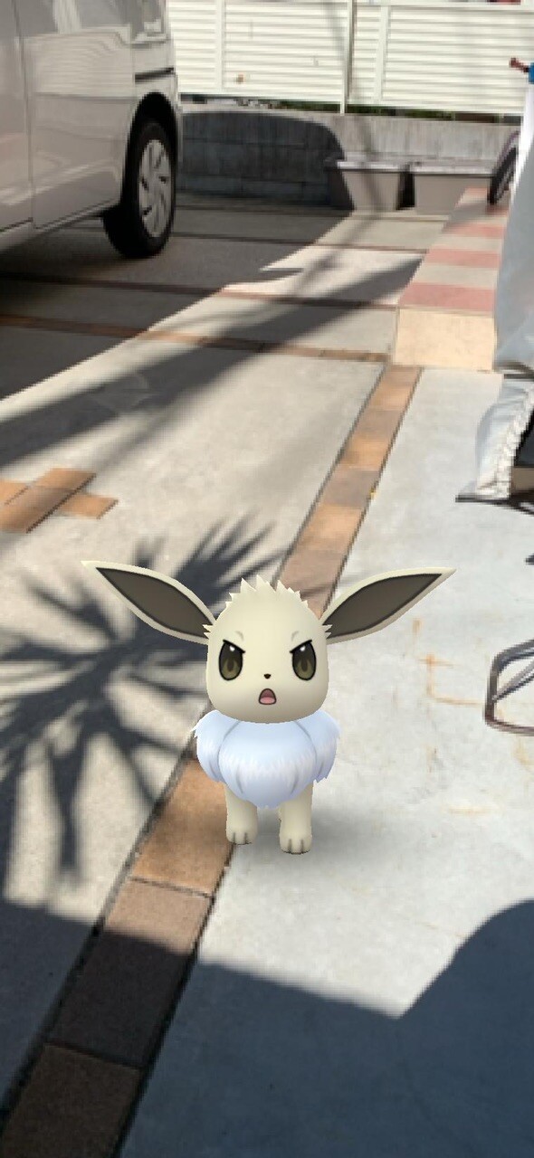 Yusuke Maruのページ | YAMAP / ヤマップ