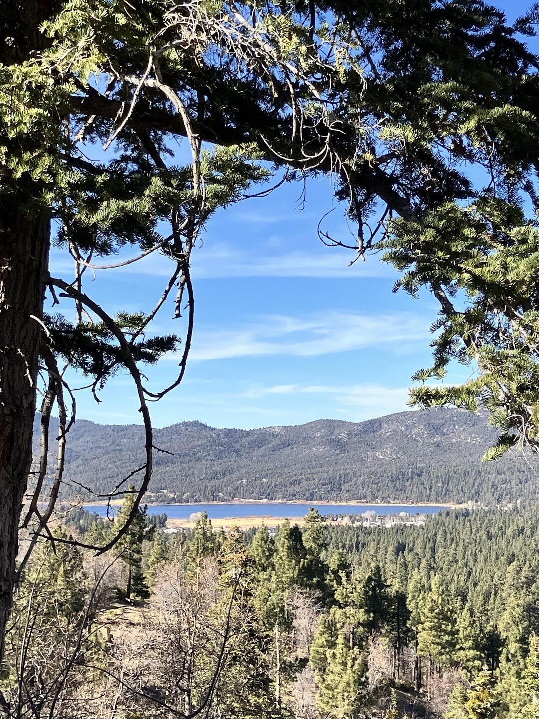 Big bear mountain -2024-12-22 / Yoko さんのウォーキングの活動日記 | YAMAP / ヤマップ