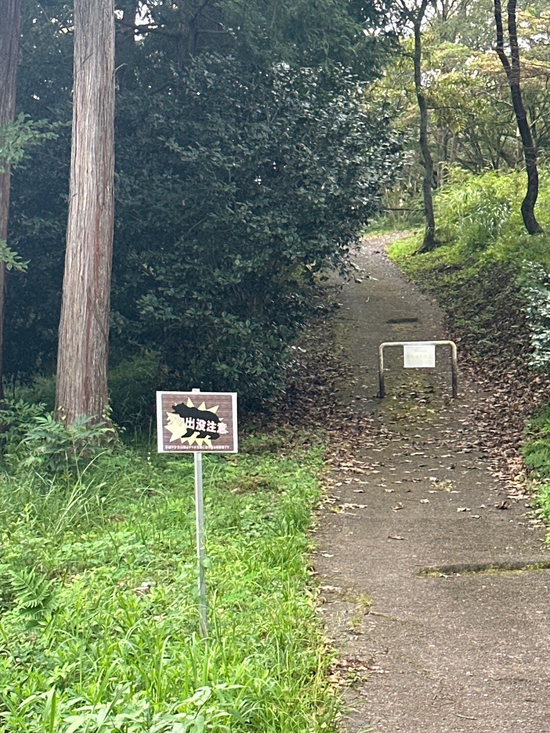 タカの渡りに興味があって明星山へ行ってみ... / uruさんのモーメント | YAMAP / ヤマップ