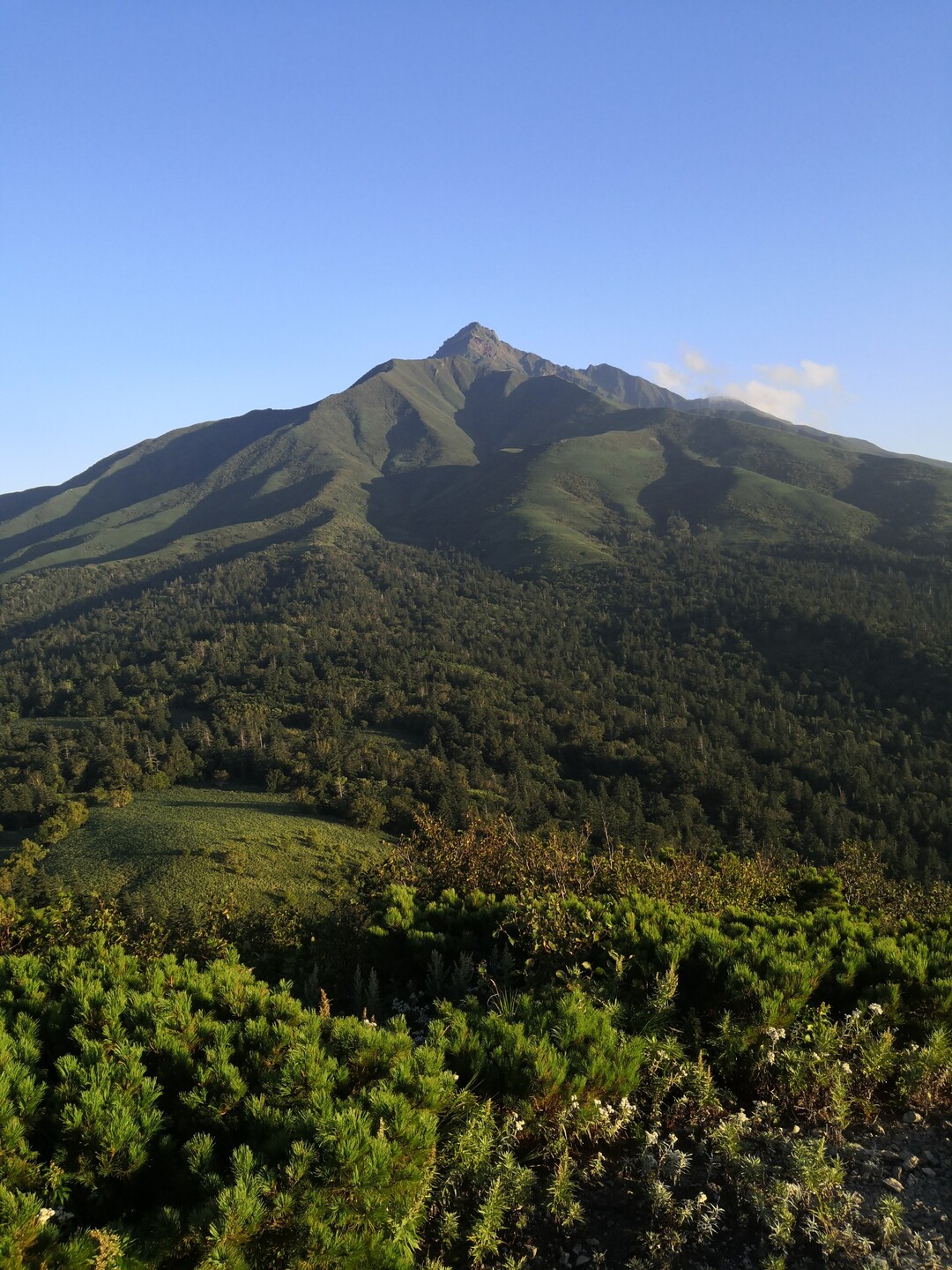 ポン山 / ryryryryさんの利尻山（利尻富士）の活動データ | YAMAP / ヤマップ