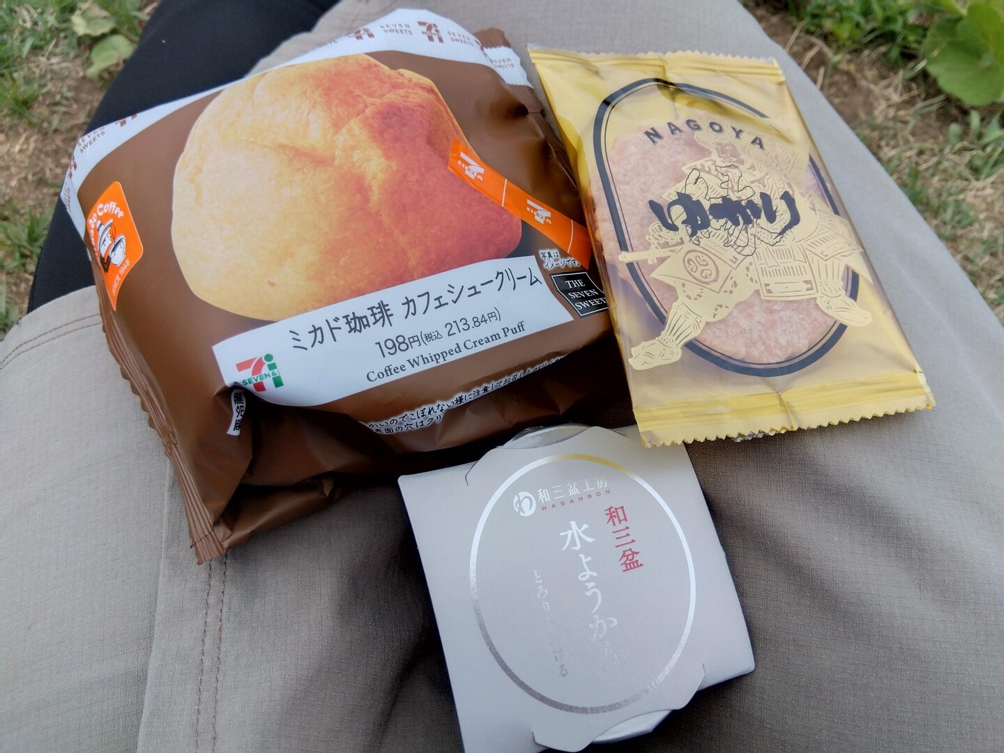 お初の米山登山🗻 / shino-puさんの米山の活動データ | YAMAP / ヤマップ