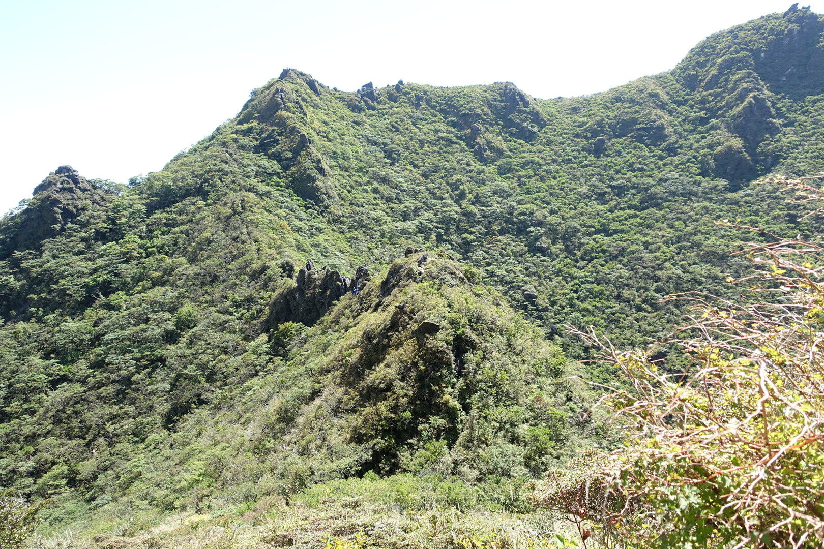 由布岳お鉢巡りetc / takaさんの由布岳・鶴見岳の活動日記 | YAMAP / ヤマップ