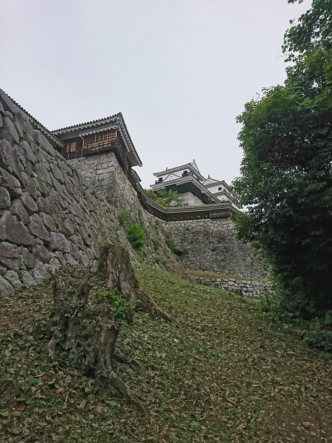 松山城ラン（勝山・松山） / tat-ninoさんの松山市（南エリア）の活動データ | YAMAP / ヤマップ