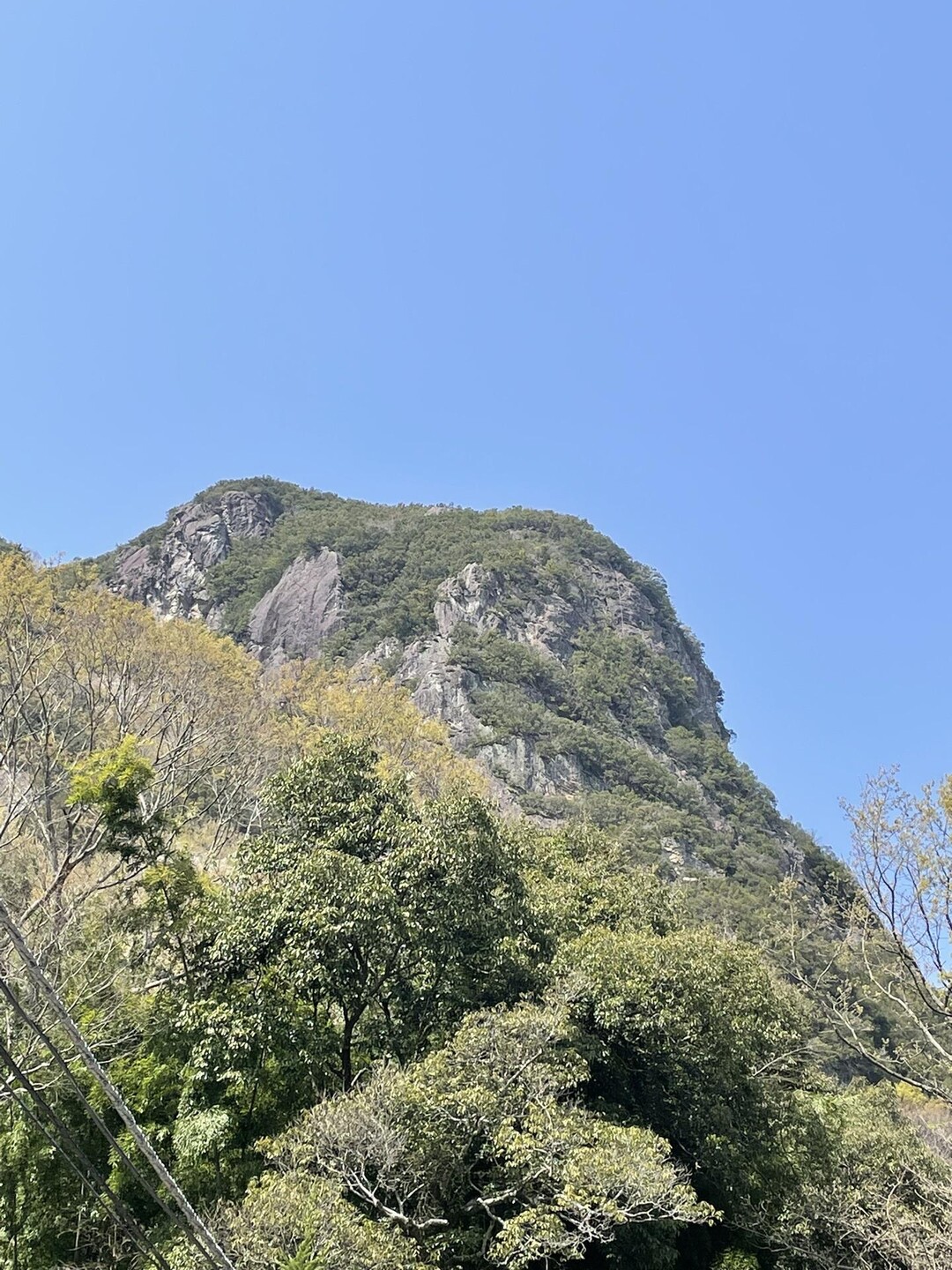 3月31日 ラストハイク散歩の巻😊 近... / hiromiさんのモーメント | YAMAP / ヤマップ