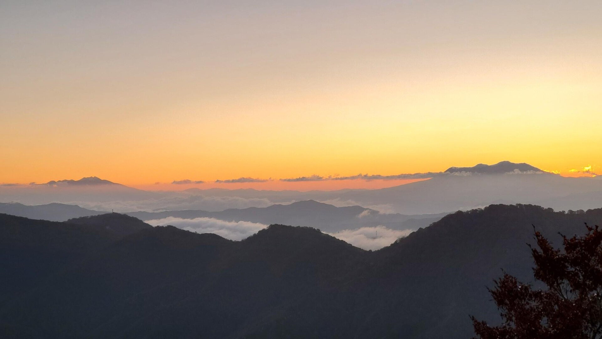 鷲ヶ岳(300名山) / sadaさんの鷲ヶ岳の活動データ | YAMAP / ヤマップ