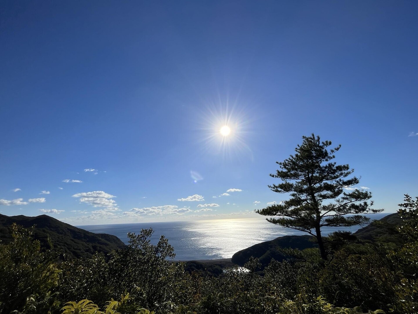 局ヶ頂 / TRA01さんの局ヶ頂の活動データ | YAMAP / ヤマップ