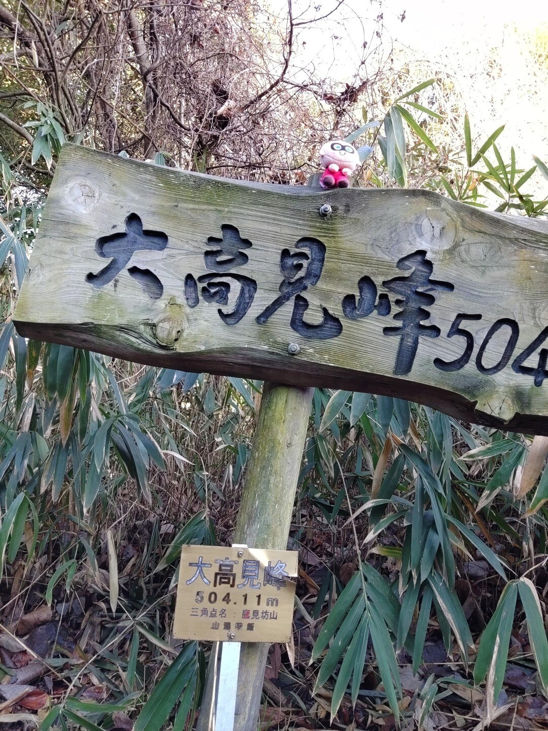 讃岐駒ヶ岳・小高見峰・大高見峰JACK-JACK / JACK-JACK23さんの大高見峰・猫山・城山の活動データ | YAMAP / ヤマップ