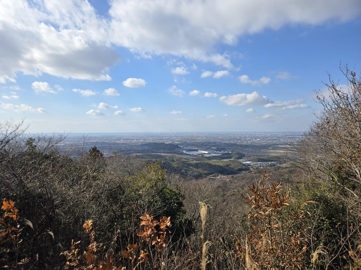 2025初山行(小茶臼・西茶臼山・茶臼山・乙女峠） / yt_jim80さんの茶臼山・万灯山の活動データ | YAMAP / ヤマップ