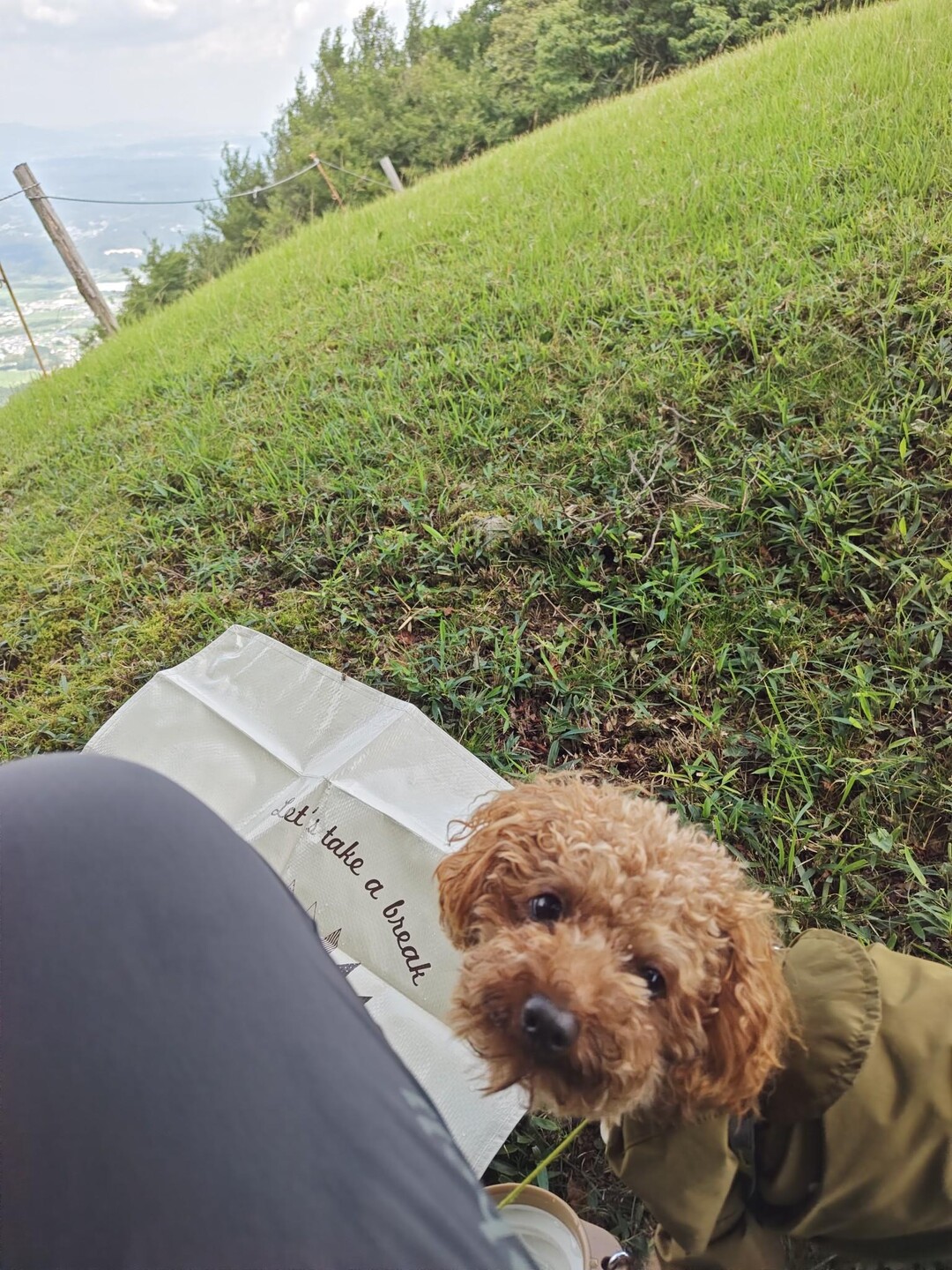 霊山 / keijiさんの霊山・西教山の活動データ | YAMAP / ヤマップ