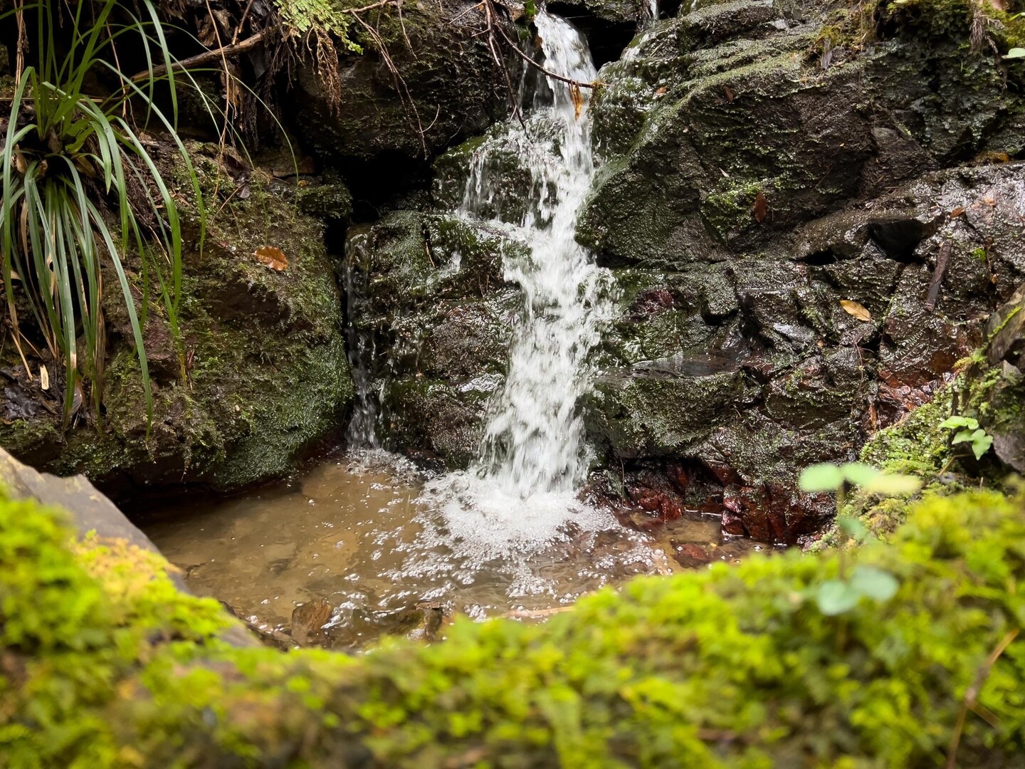 宝篋山・尖浅間山 / iwanagaさんの宝篋山・富岡山の活動データ | YAMAP / ヤマップ