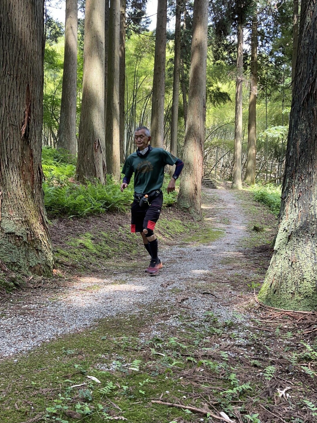 城山200回(今年)と法尻山YAMAP登録記念です / ポンコツさんの呉羽山・城山の活動データ | YAMAP / ヤマップ