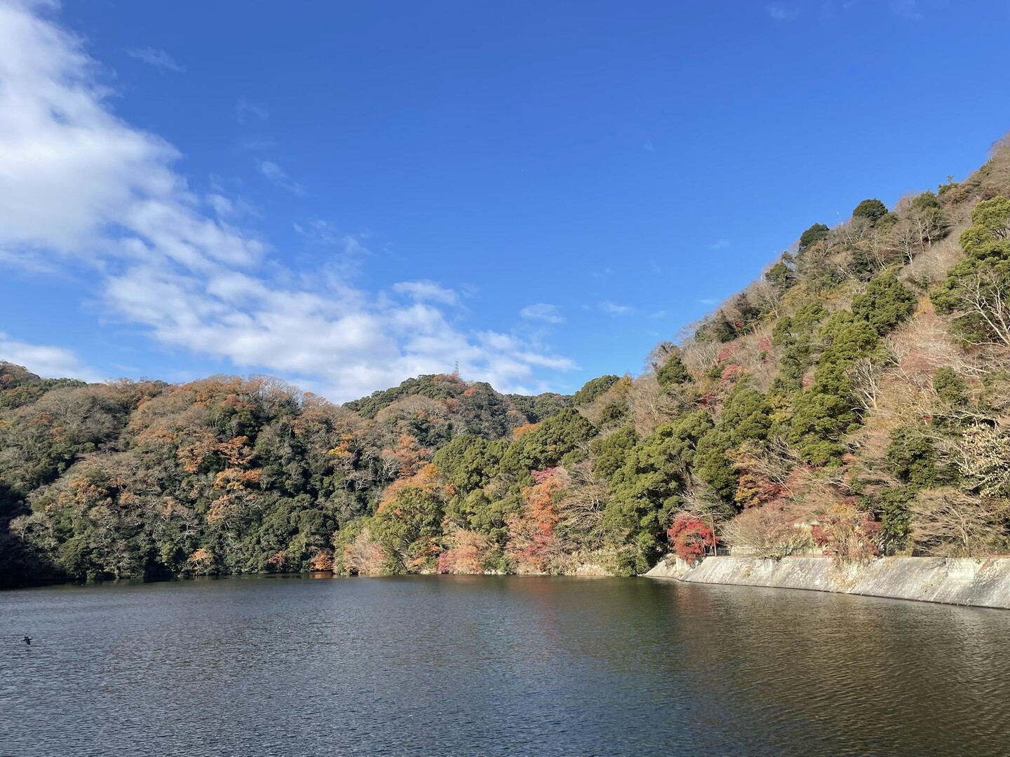 再度山 / memiさんの六甲山・長峰山・摩耶山の活動データ | YAMAP / ヤマップ