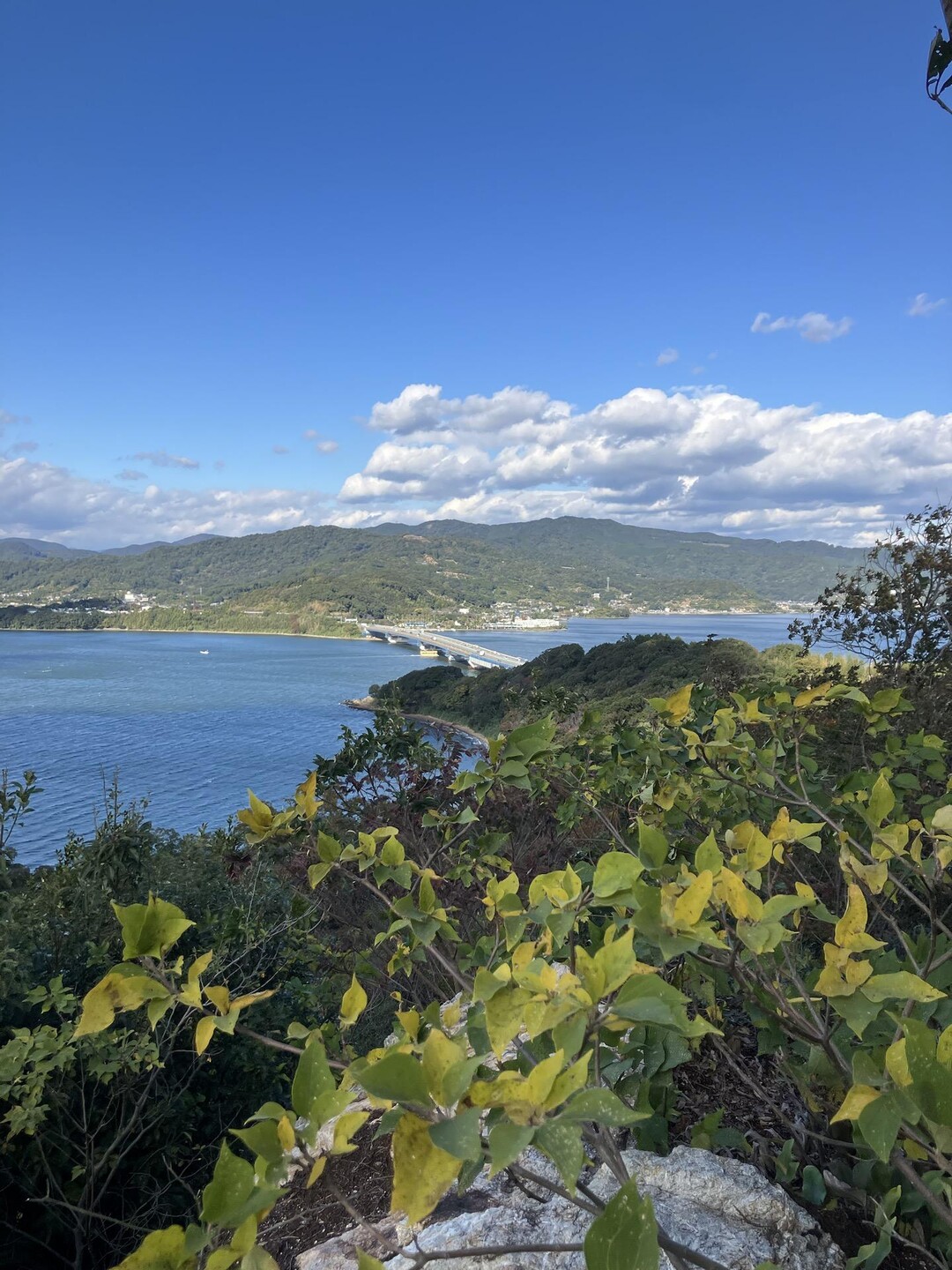 ローカルお山の大草山をお散歩 湖西連峰、... / ももとばる9さんのモーメント | YAMAP / ヤマップ