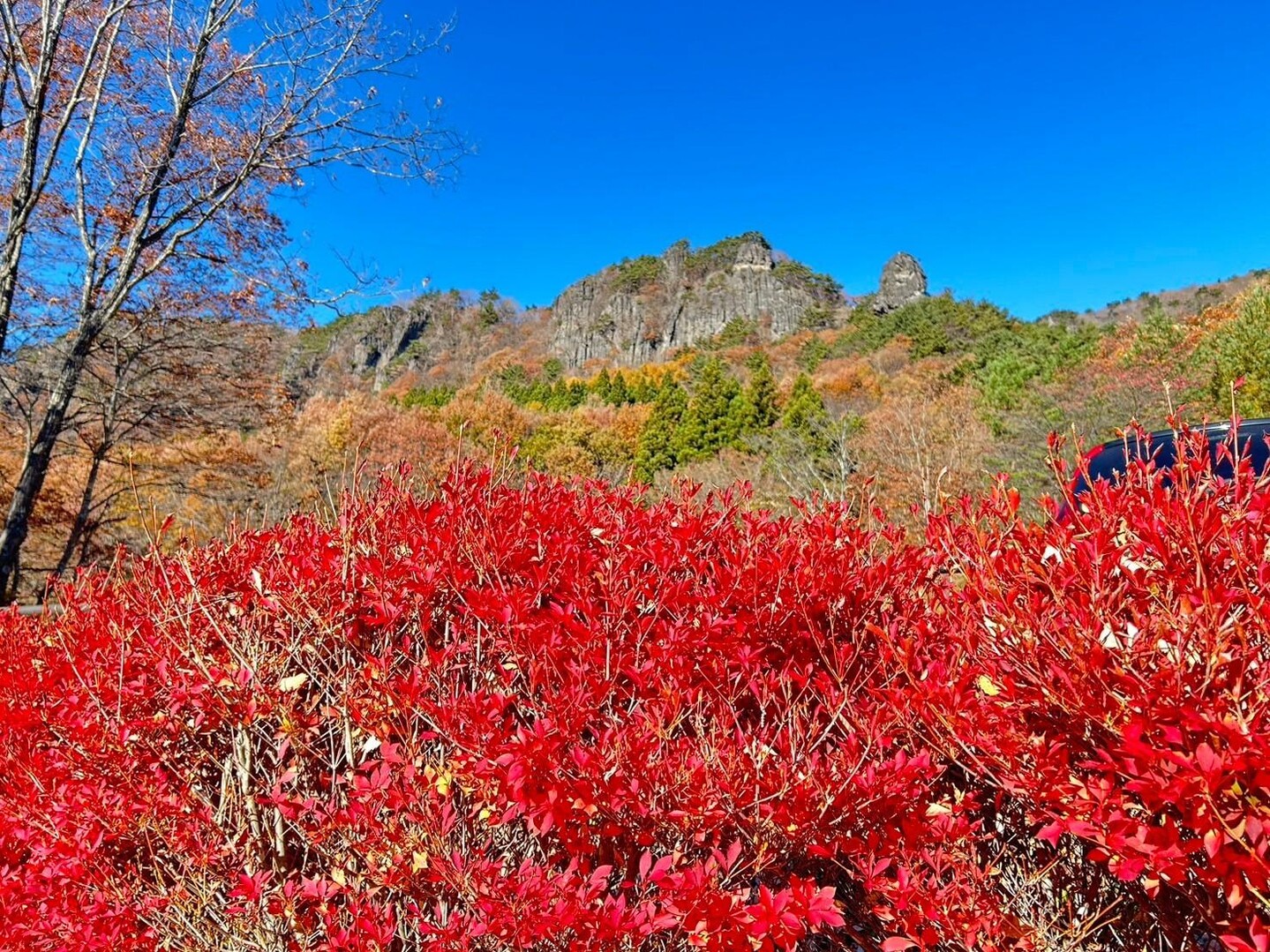 西ノ物見・霊山（東ノ物見） / マリオさんの霊山の活動データ | YAMAP / ヤマップ