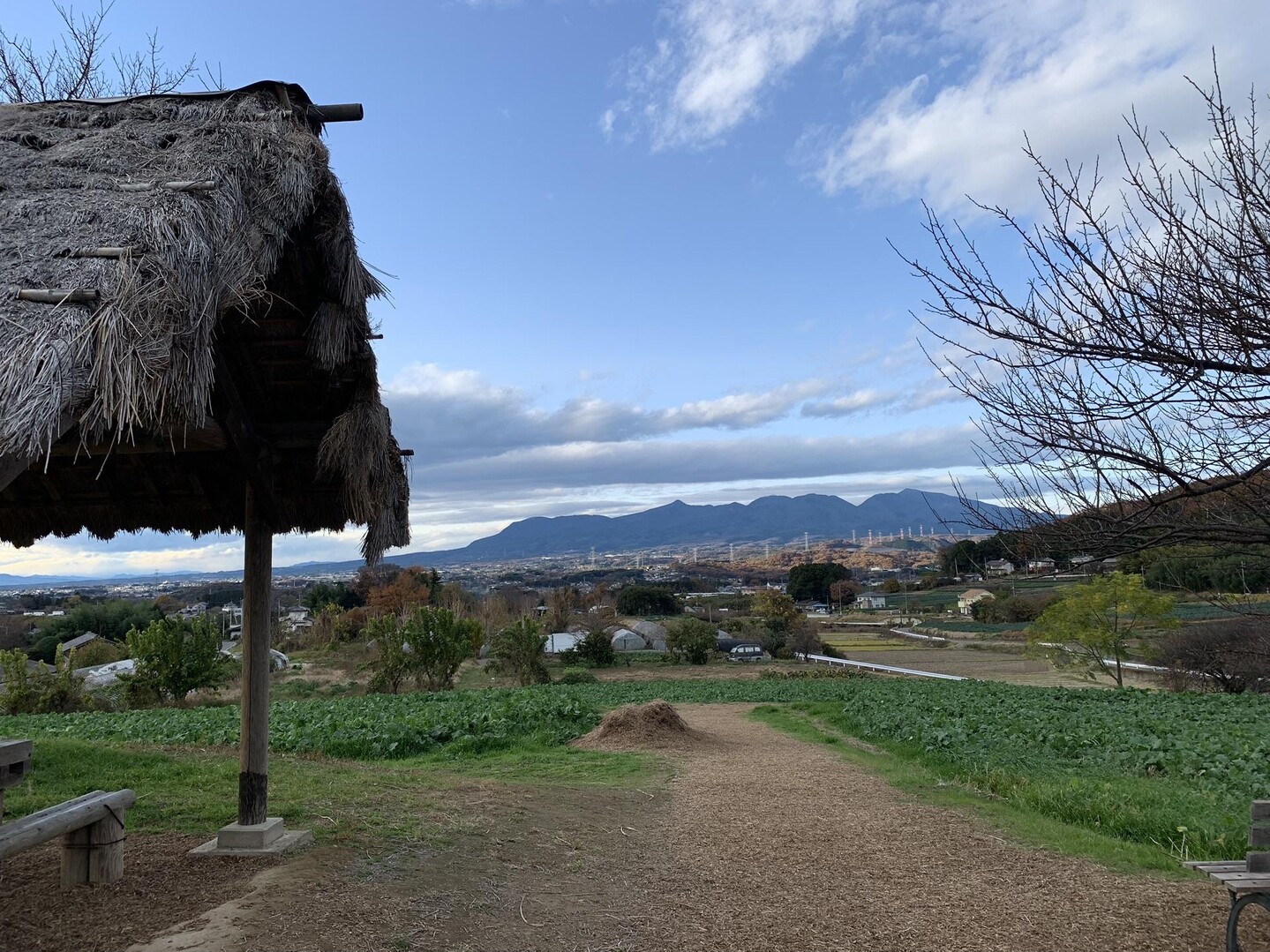 鹿田山てくてく👣 / 山どんこ🎶さんの鹿田山の活動データ | YAMAP / ヤマップ