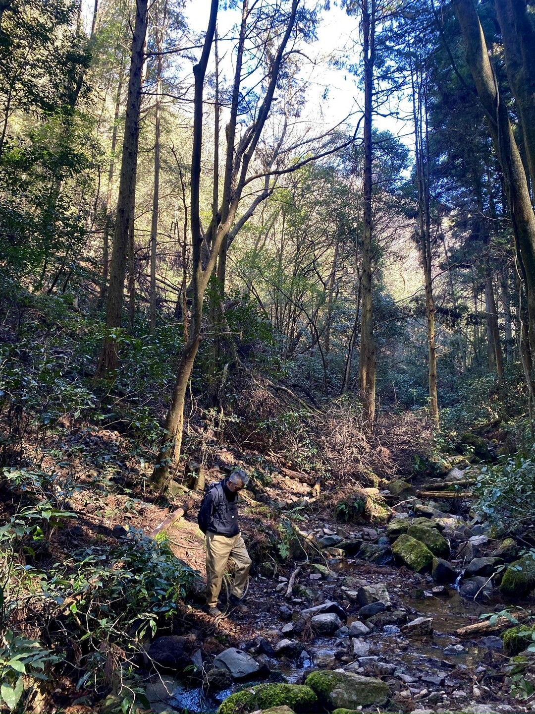 継鹿尾山 / ma-koさんの鳩吹山の活動データ | YAMAP / ヤマップ
