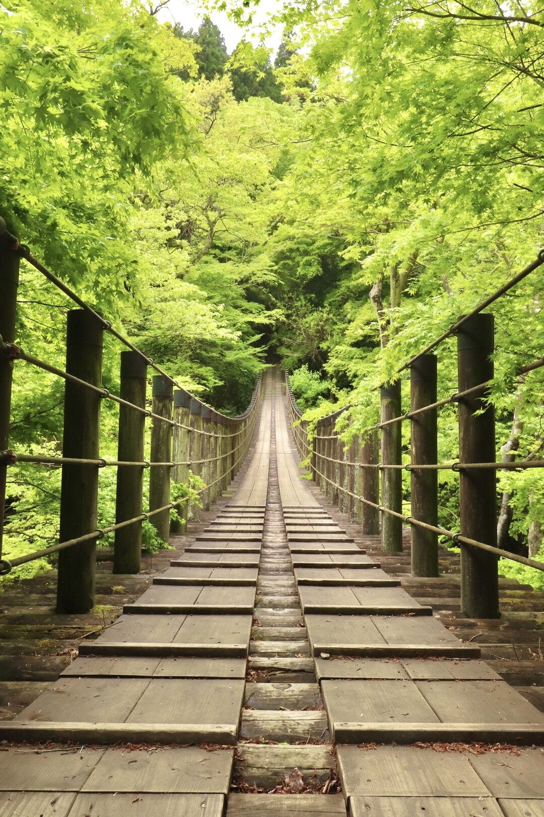 AYUのページ | YAMAP / ヤマップ