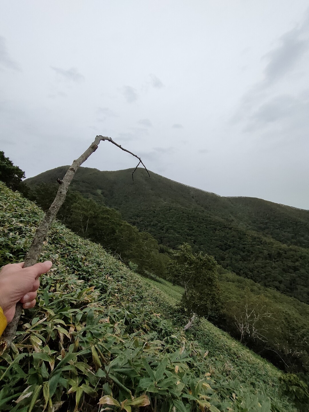 武佐岳ファイヤー🔥 / sikasunさんの武佐岳の活動データ | YAMAP / ヤマップ
