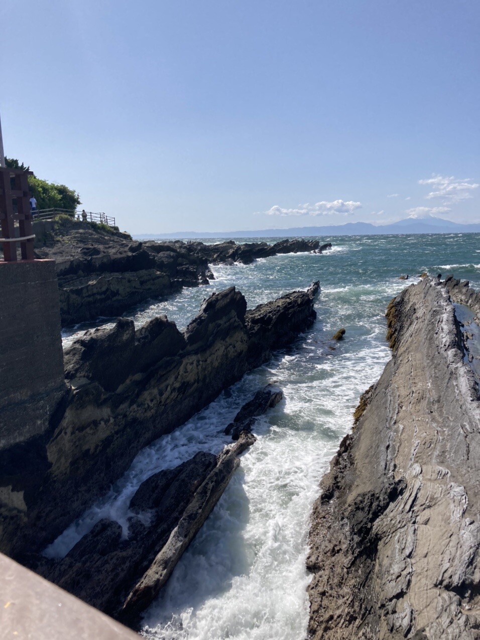 城ヶ島-2021-04-18 / Rieさんのウォーキングの活動データ | YAMAP / ヤマップ