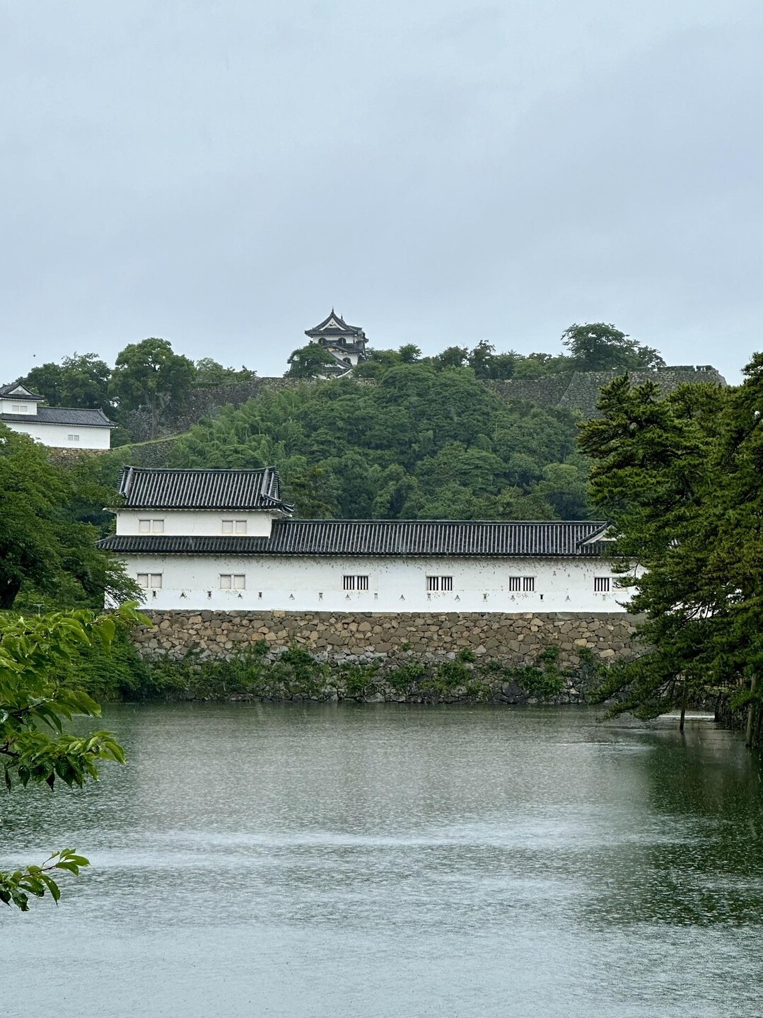 醒ヶ井低山⛰️周回山歩きの翌日は 毎年恒... / j-montさんのモーメント | YAMAP / ヤマップ