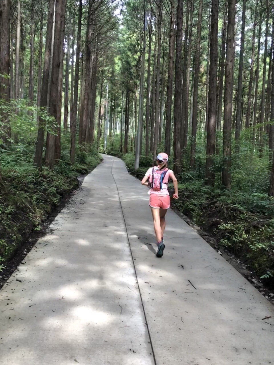 バカ尾根ピストン / Dr. Eikoさんの塔ノ岳・丹沢山・蛭ヶ岳の活動データ | YAMAP / ヤマップ