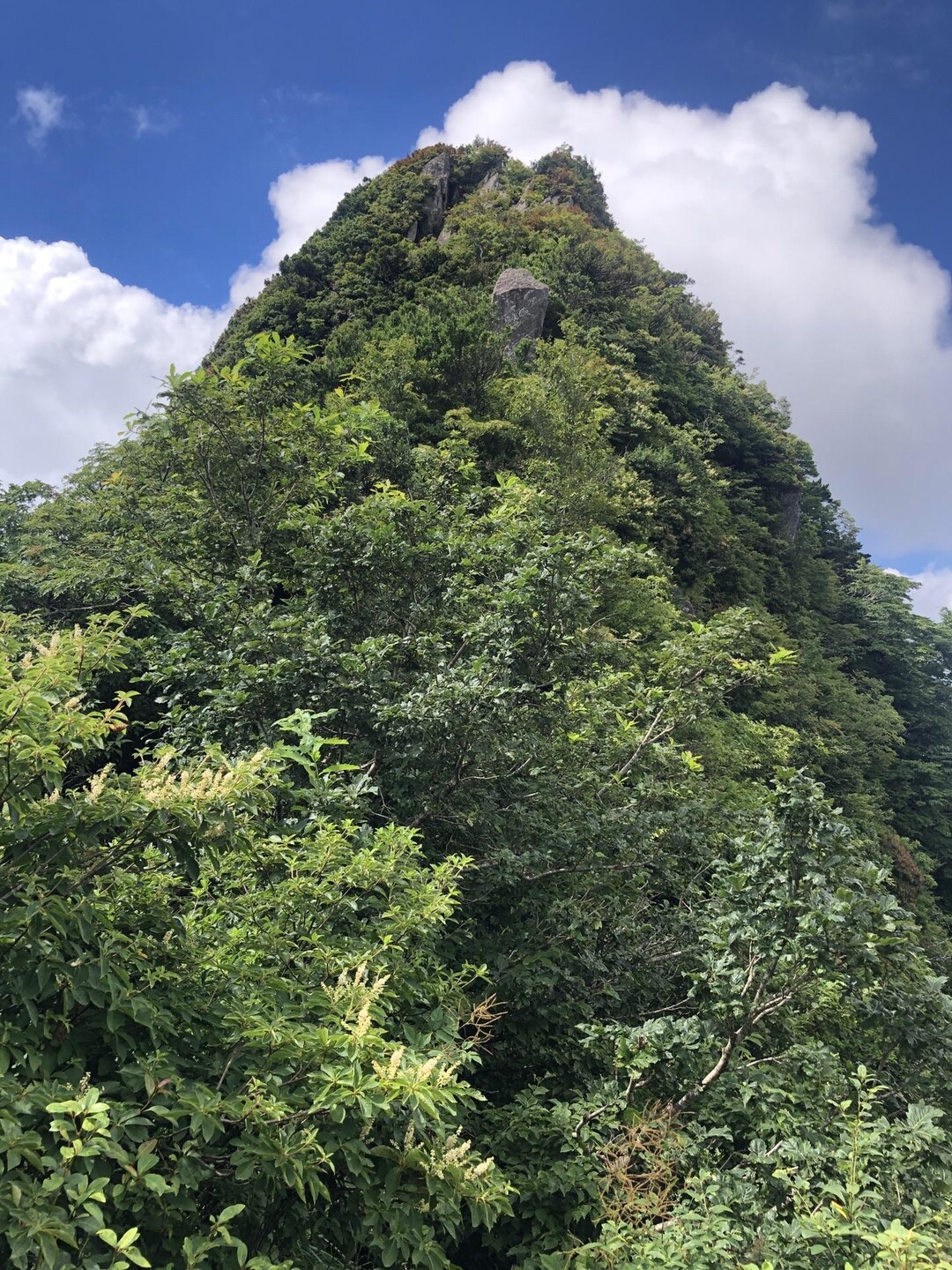 烏ヶ山 / SWさんの烏ヶ山・象山（笹ヶ峰）の活動データ | YAMAP / ヤマップ
