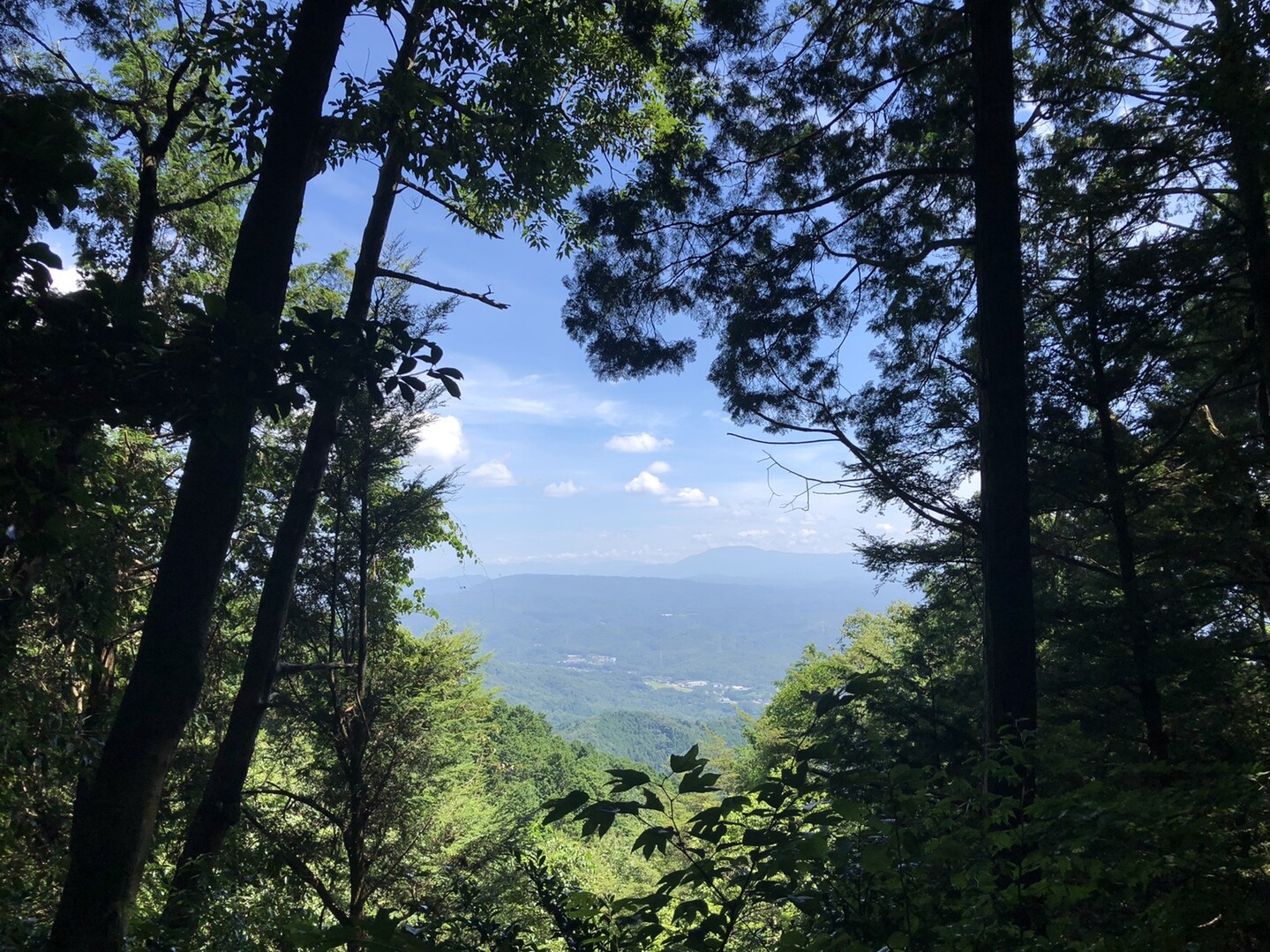 猿投山⑤ / junさんの猿投山・物見山の活動データ | YAMAP / ヤマップ