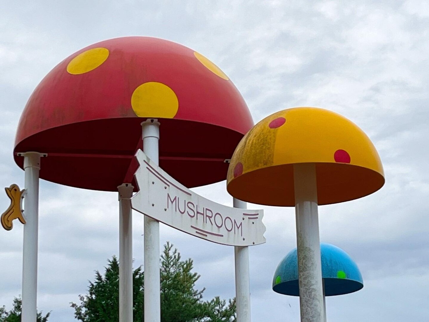 朝駆けはもう寒い…🏍️🥶 / kazさんのその他の活動データ | YAMAP / ヤマップ