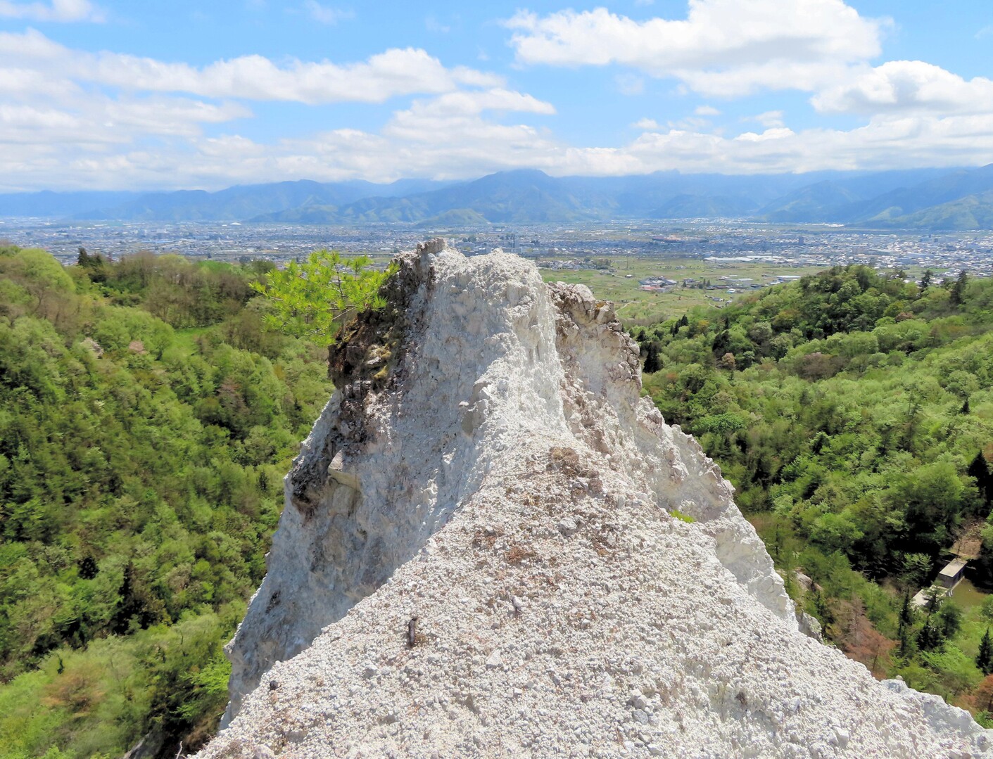 茶臼山周回 / うすメバルさんの茶臼山の活動データ | YAMAP / ヤマップ